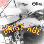 Daisy Age | Drumdrops – DrumDrops